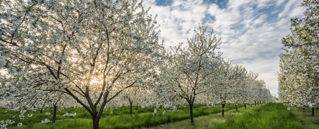 Spring Season - Destination Sturgeon Bay
